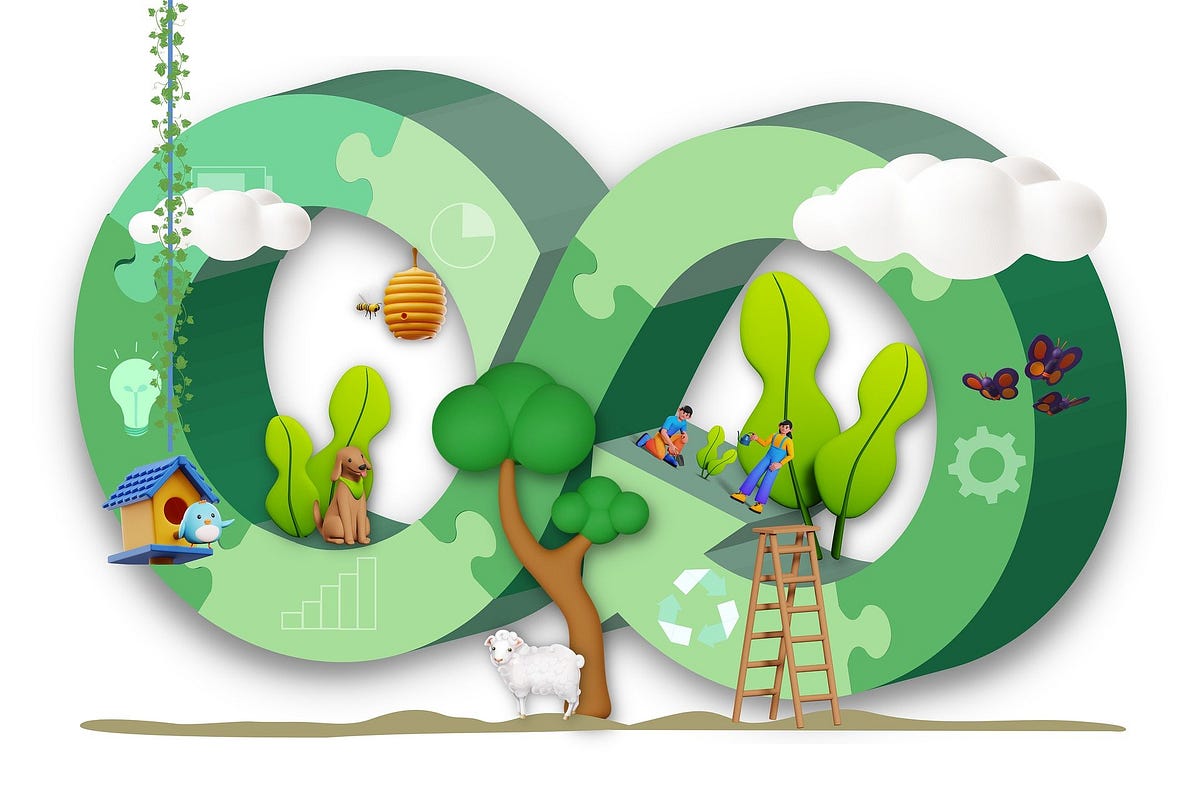Shaping Sustainable Behaviours through the Power of Product Design | by ...