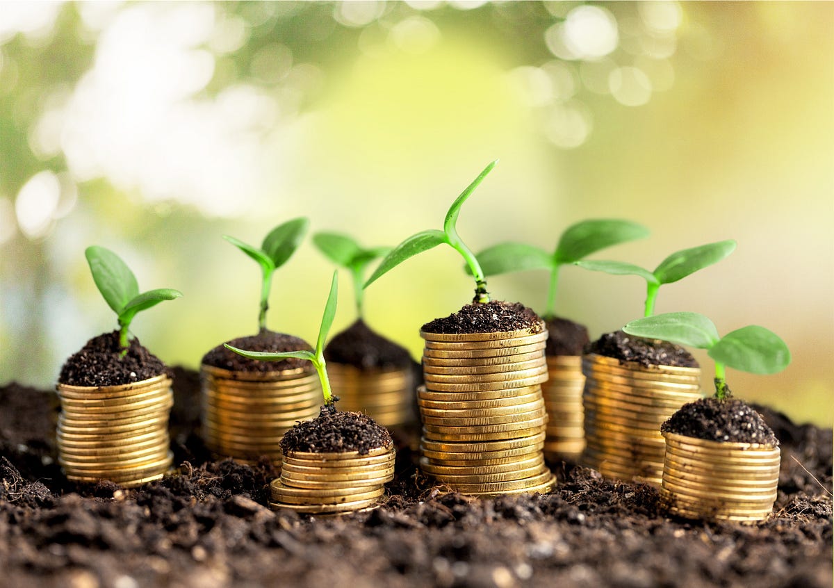 6 Tips for Wealth Creation. Whether you dream of being a… | by ...