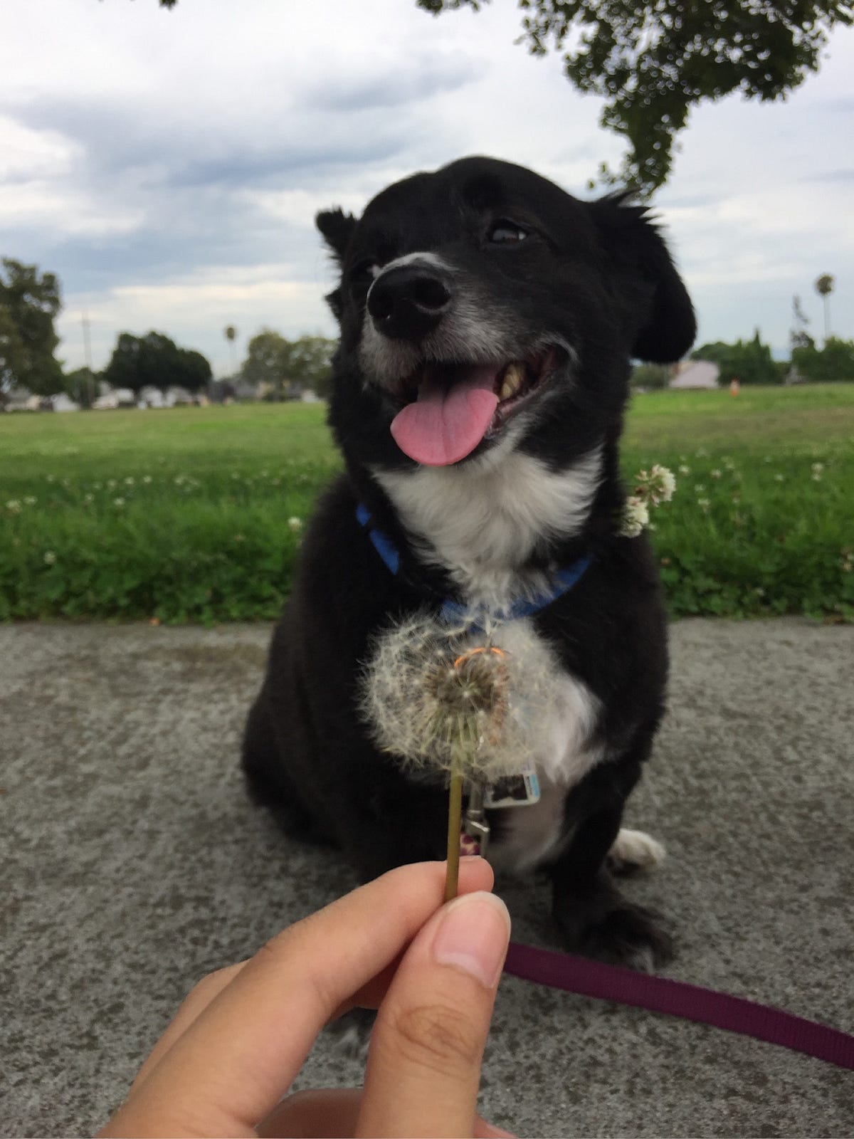 The Grief Monster. It creeps up on you when you least… | by Viv | Feb ...