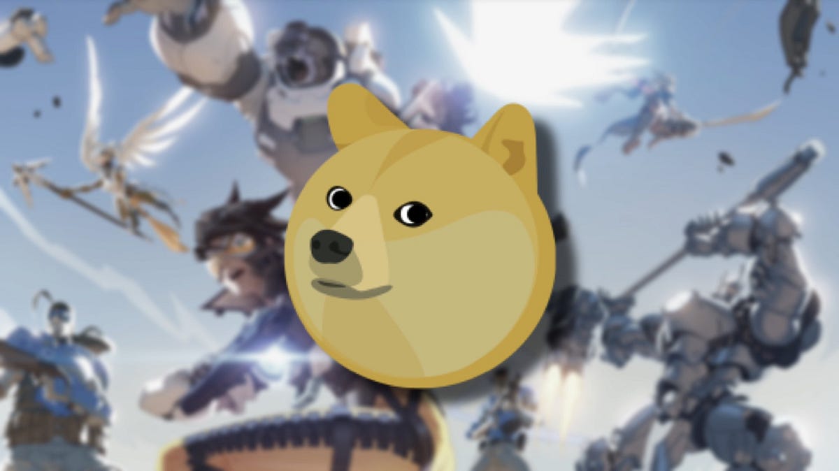 Team Doge Out of Contenders Trials. | by Kevin | Medium