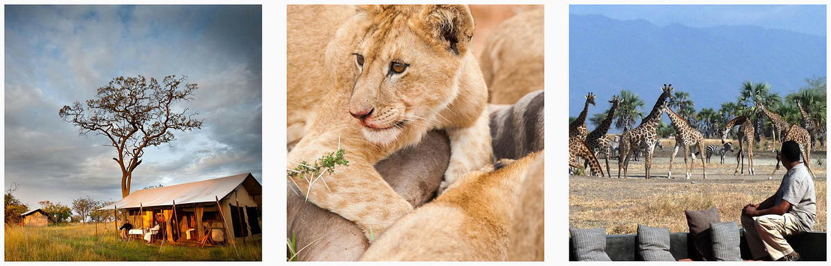 Instagram Safari Canvas For June. A look back at our African safari ...