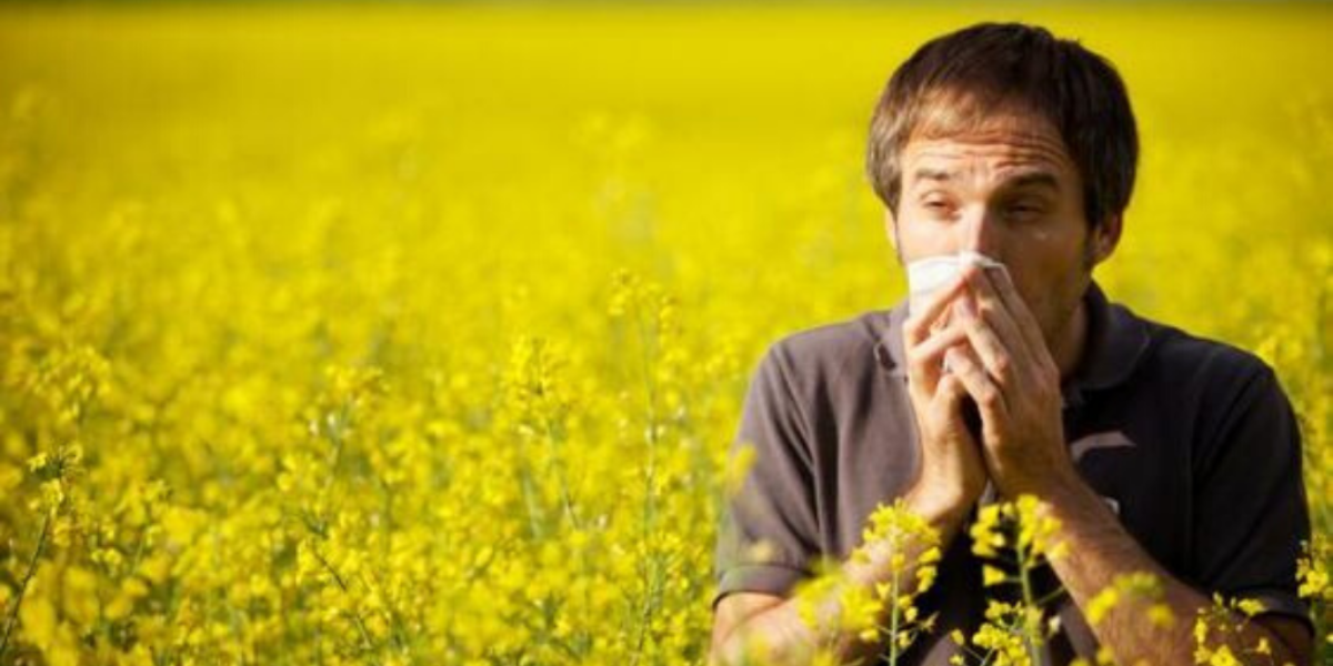 Exploring Arizona’s Unique Allergens and Their Impact on Health | by ...