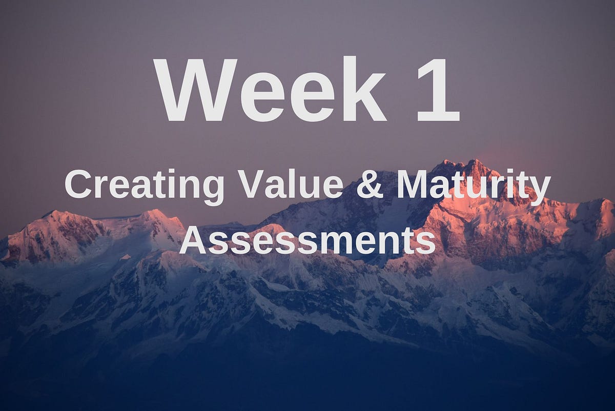 Week 1 Project Update. Here is my week 1 customer advocacy… | by Hana ...
