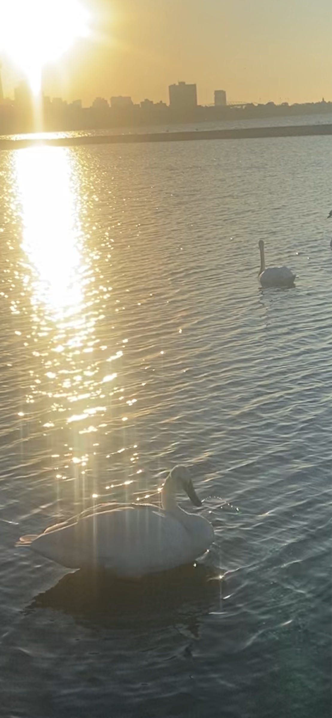 Spirit Guides: Your Cosmic Crew. Good morning, good afternoon, and good ...