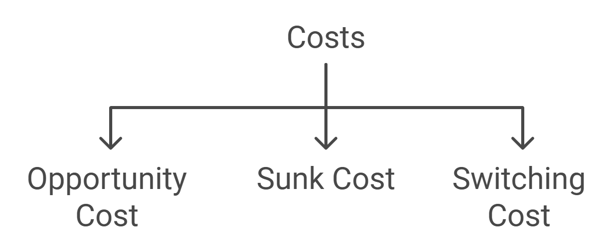 Three Costs That Shaped My Journey: Opportunity, Sunk, and Switching ...