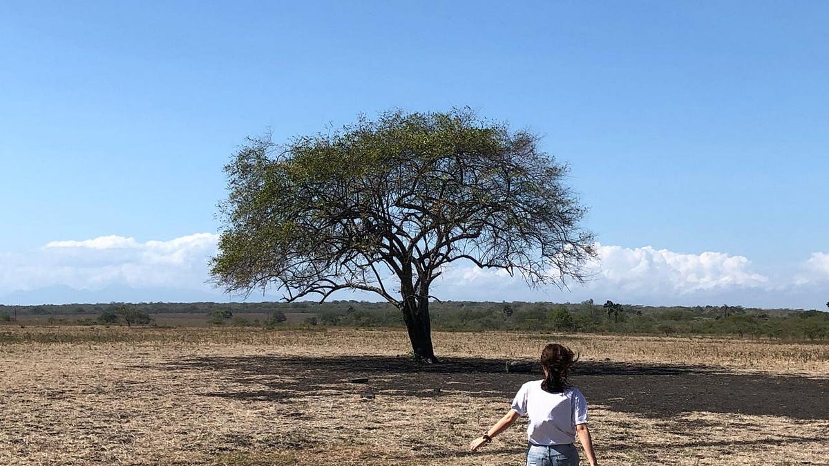 The Challenge of Finding a True Connection in a Superficial World | by ...