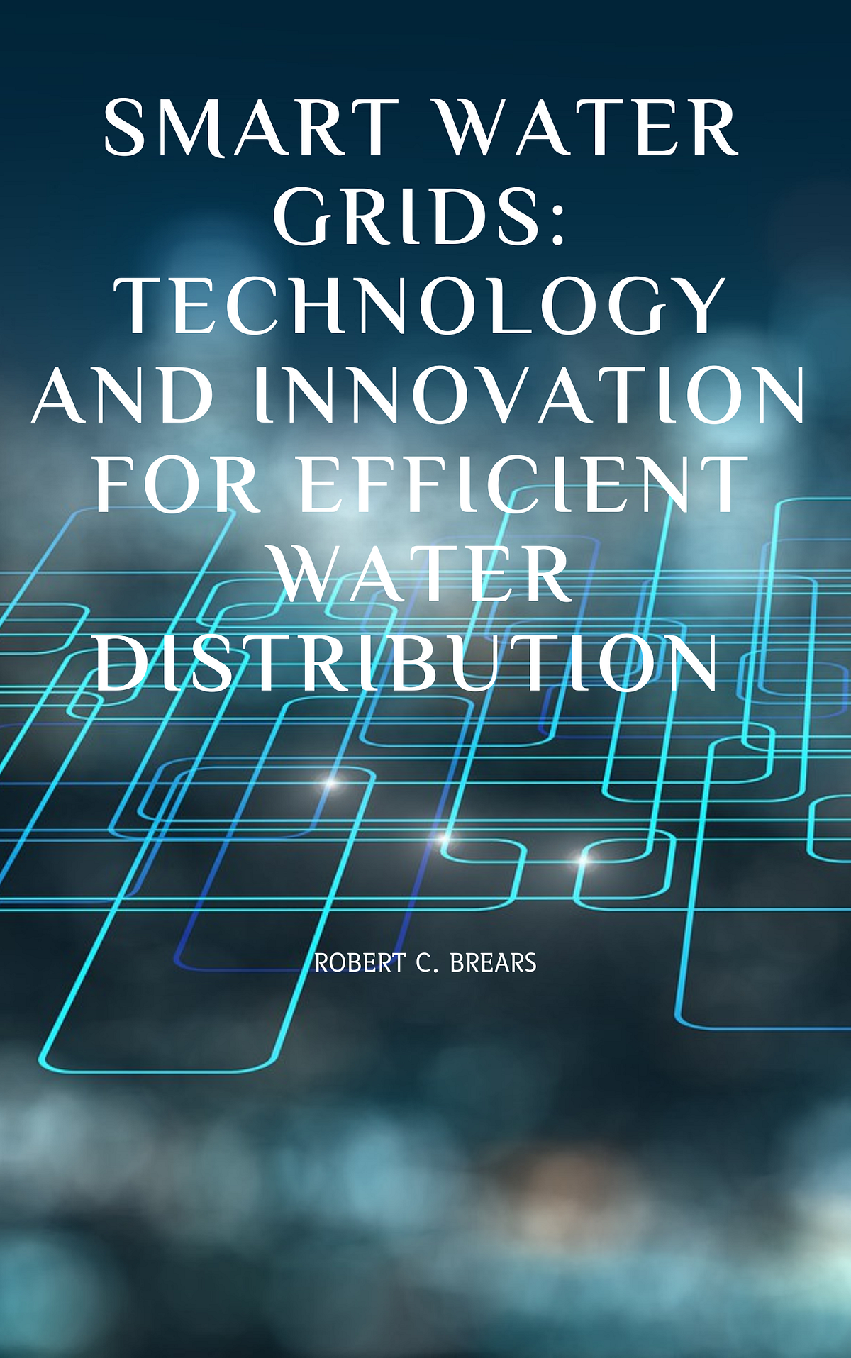 Smart Water Grids: Technology and Innovation for Efficient Water ...