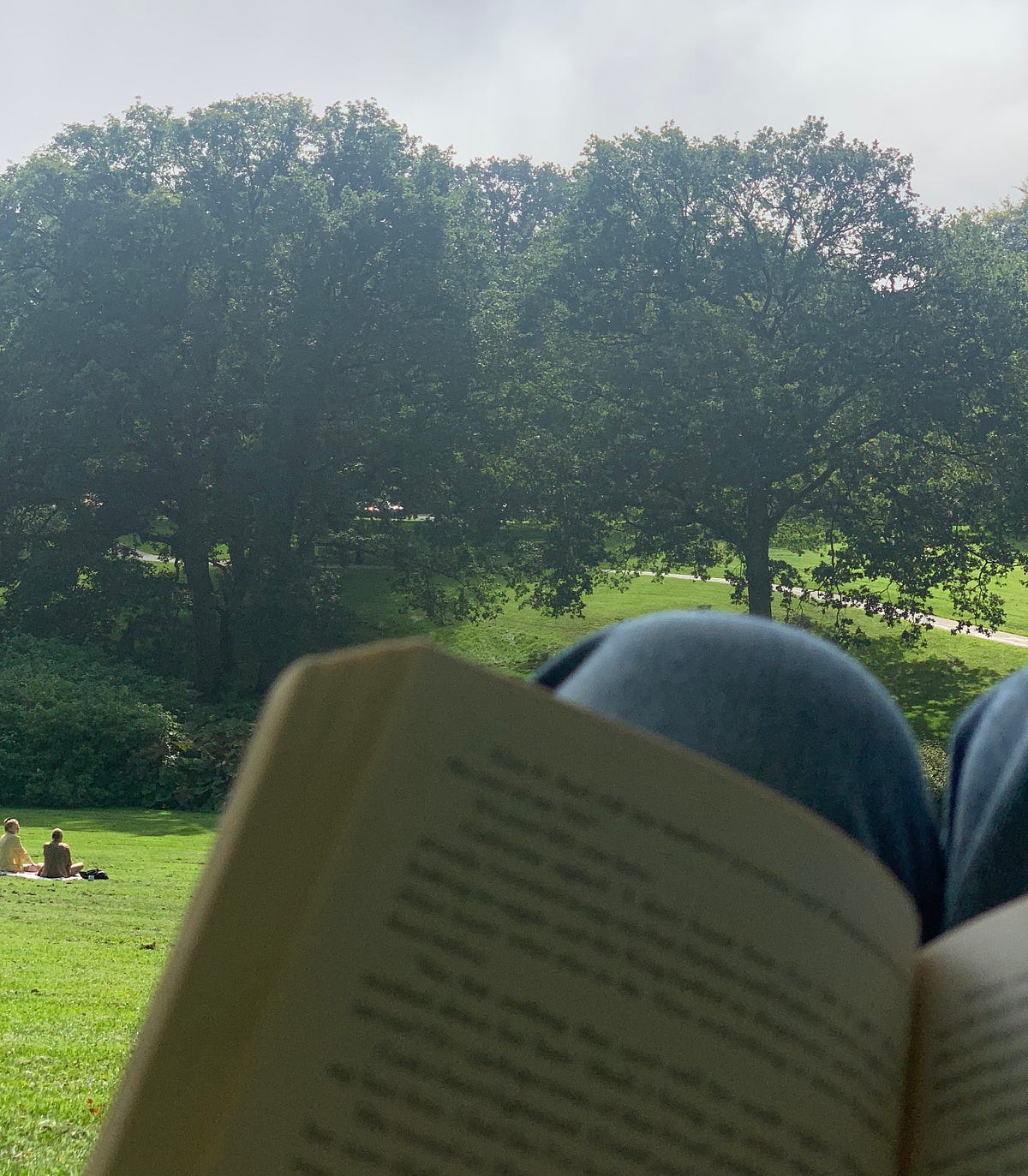 Why do we feel more productive reading than when watching tv? | by ...