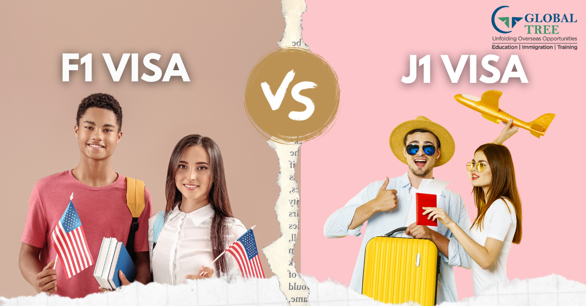 Everything you need to know about the variations between the USA F1 and ...
