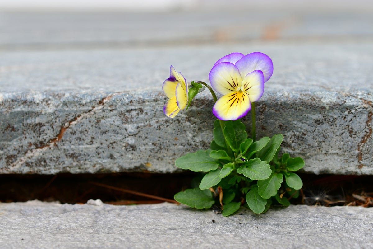 Why Resilience is a Superpower You Need | ILLUMINATION