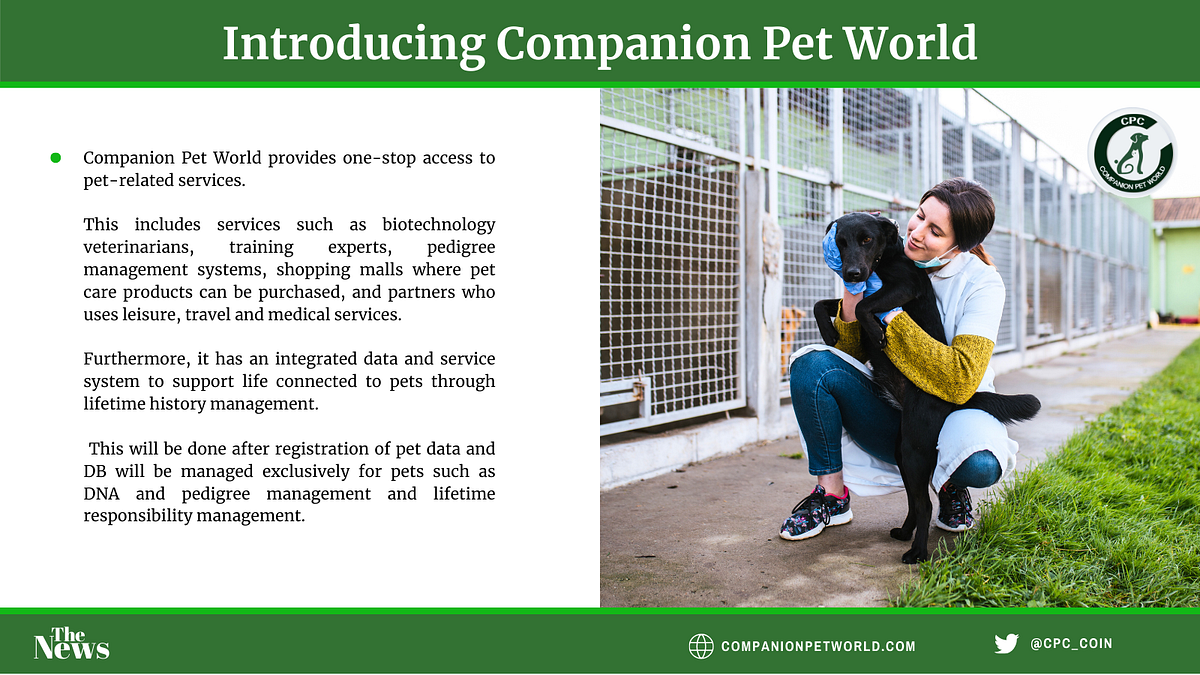 Introducing Companion Pet World - Companion Pet World - Medium