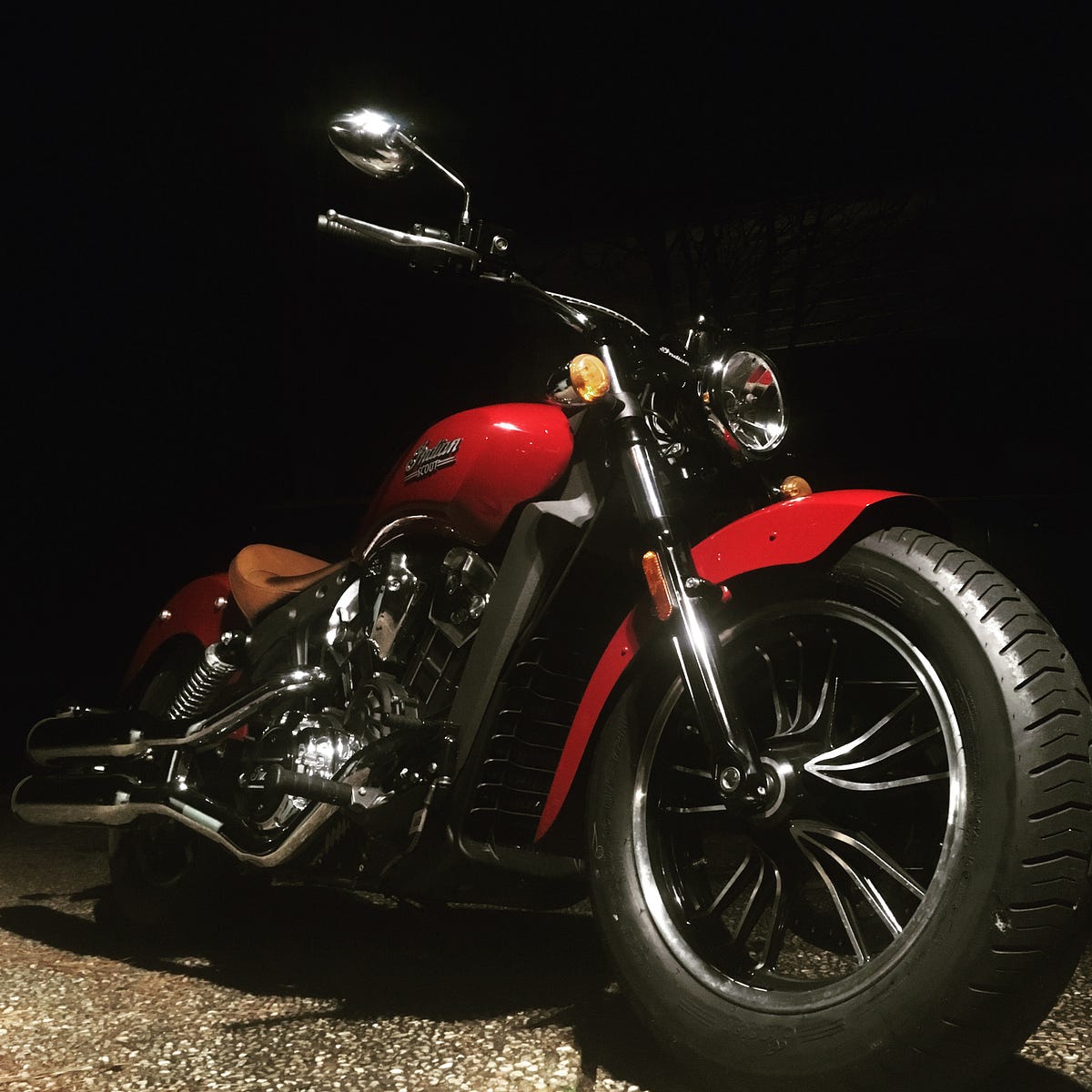 Gimme Danger, Little Stranger.. One man’s first tryst with the 2016 ...