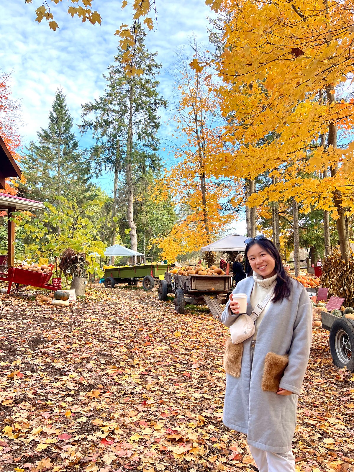 What’s New(s) with Me: A Spontaneous Journey to Reconnect and Reflect🍁🍂 ...