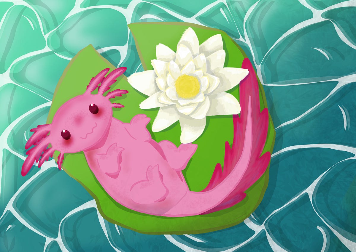 Solxolotls. Inspiration | by Solxolotls | Medium