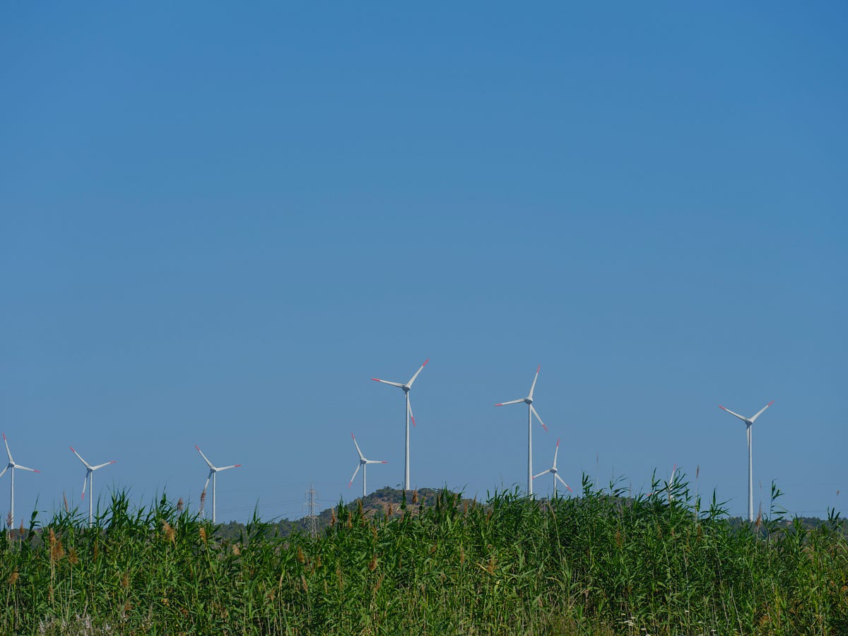 The Rise of Renewable Energy: A Cleaner, Greener Future | by ...