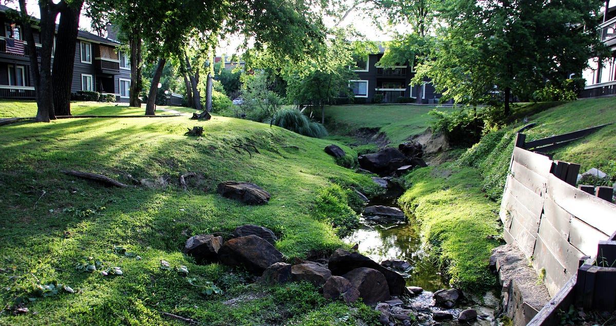 A Creek Eats Everything. The Audelia Branch seems quaint. It’s… | by ...
