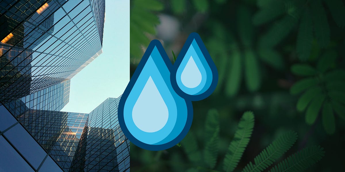 Sustainability in Water Utilities: A Roadmap for Corporate Social ...