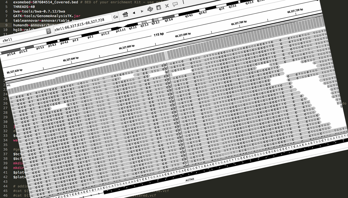 Genomic hacker toolkit. What do we know about human genomes… | by Jeff ...