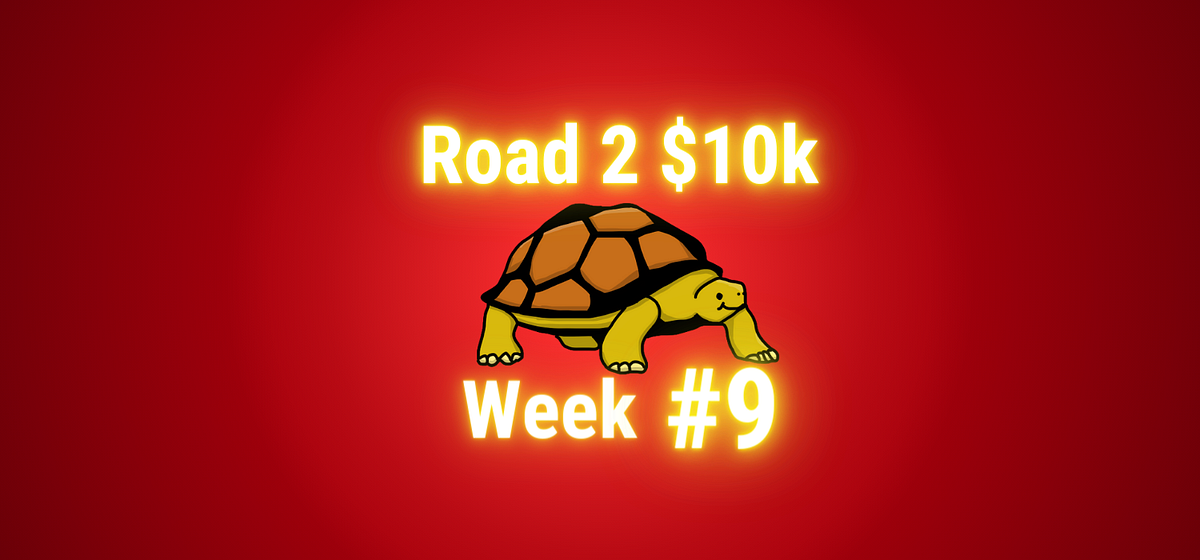 Road 2 $10,000: Slap that Turtle - Road 2 10k 2024 - Medium
