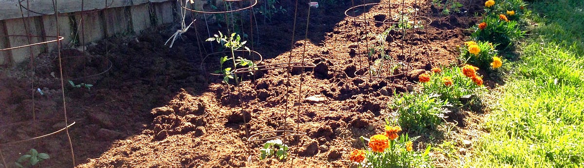 RON’S GARDEN. The Soul of Creative Motivation has… | by Michael ...