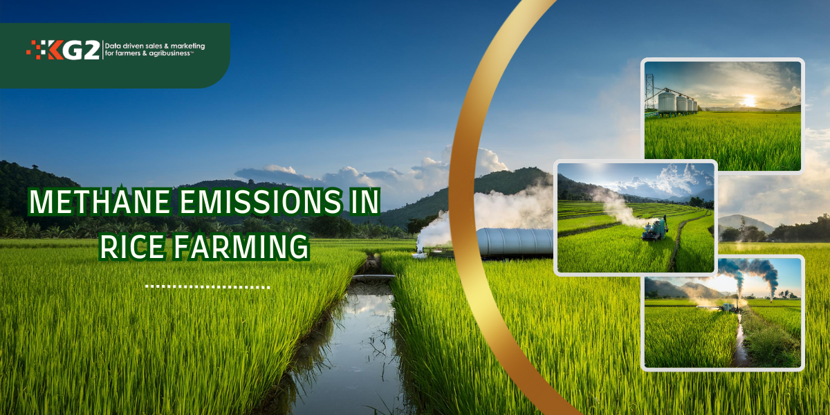 METHANE EMISSIONS IN RICE FARMING | by Big Data Agribusiness & Database ...