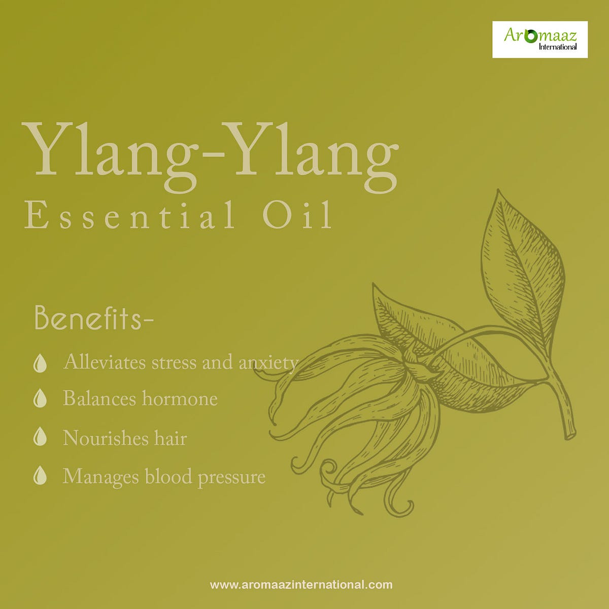Ylang Ylang Essential Oil Benefits — Aromaaz International - Aromaaz ...