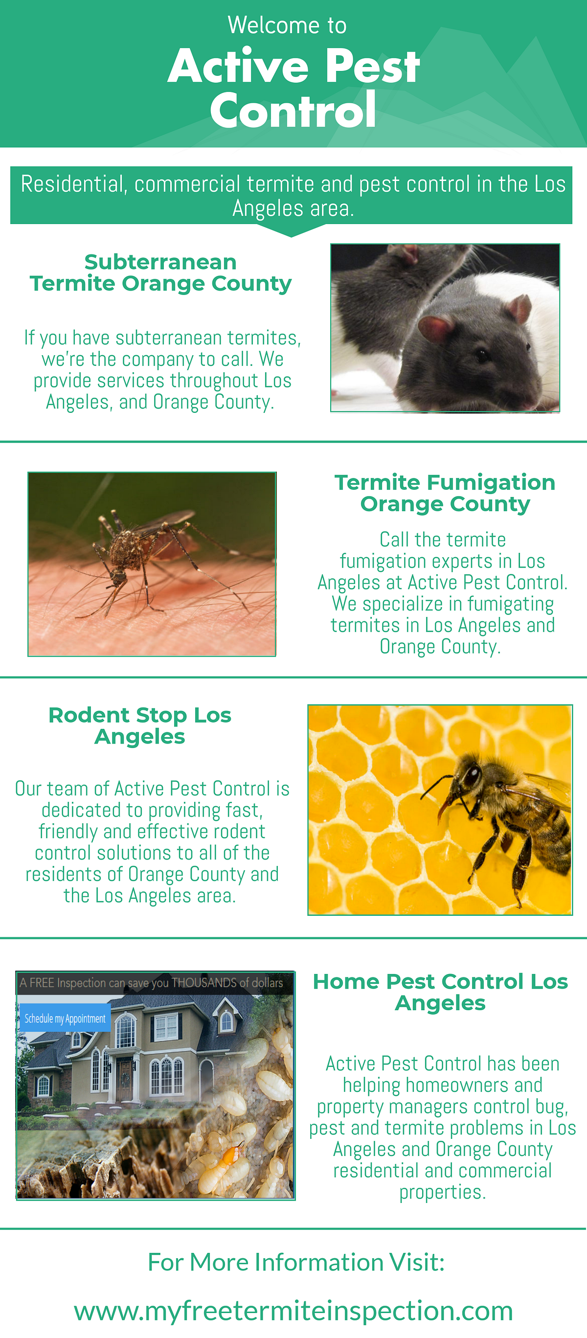 Rodent Stop Los Angeles. Our team of Active Pest Control is… | by ...