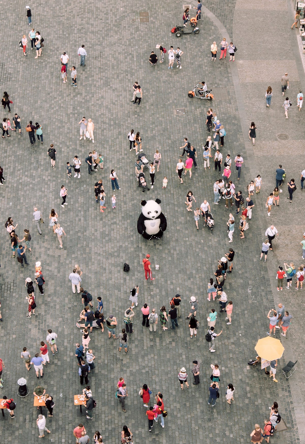 What’s Bored Panda? And How Can You Use It to Stand Out? | by Kejama ...