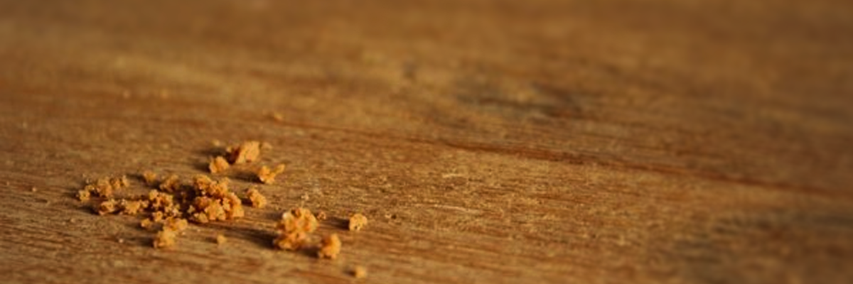 Crumbs, Not Feast. Have you ever heard wisdom that your… | by Spud ...