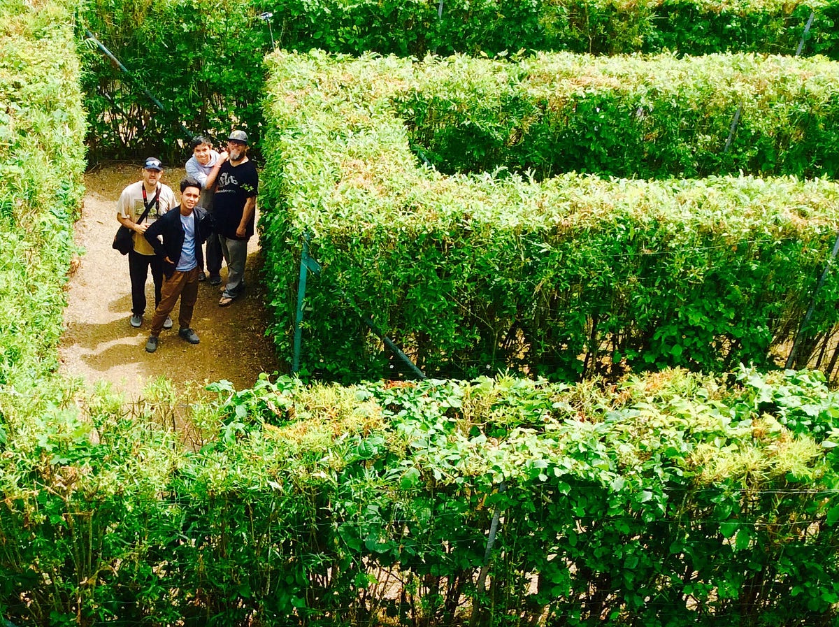 Stuck in the labyrinth. | by Catsitting in Copenhagen | Medium