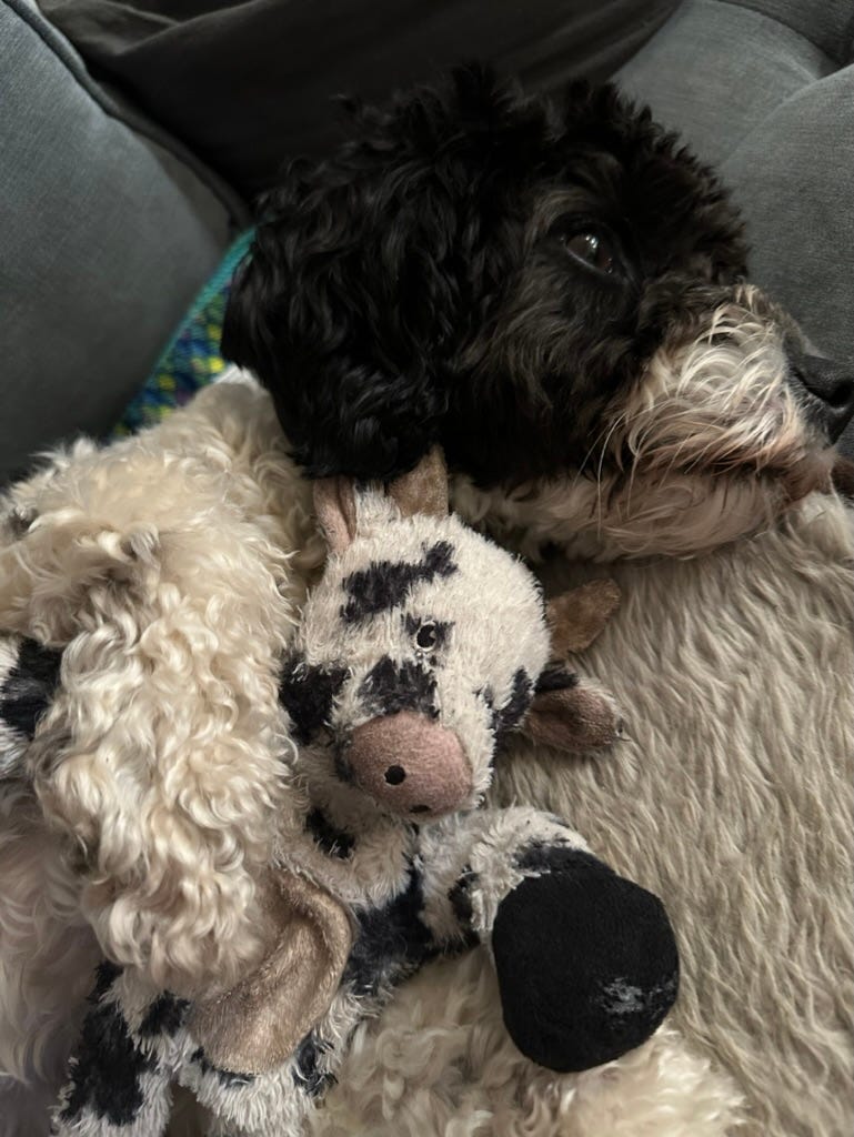 Reading List: Not Going To Lie, Today’s Picks Are Kinda Melancholic ...