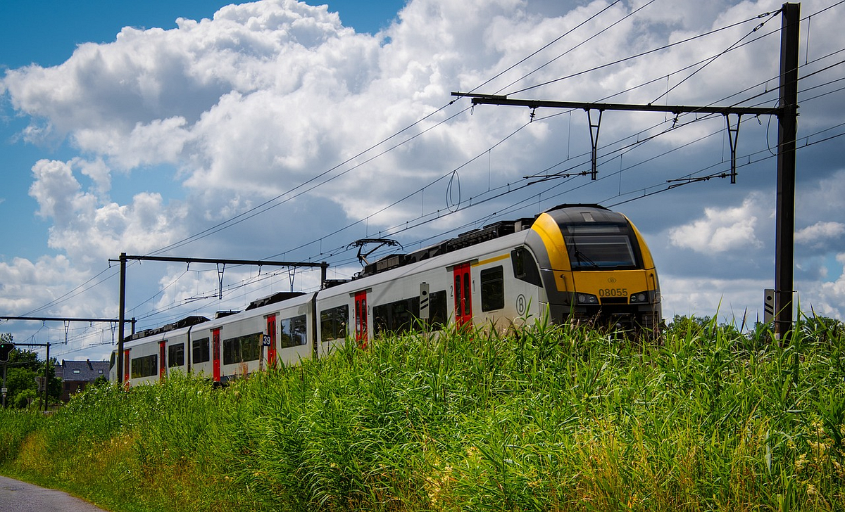 Train Trouble. Hiding in the bushes beside the tracks… | by Brian ...