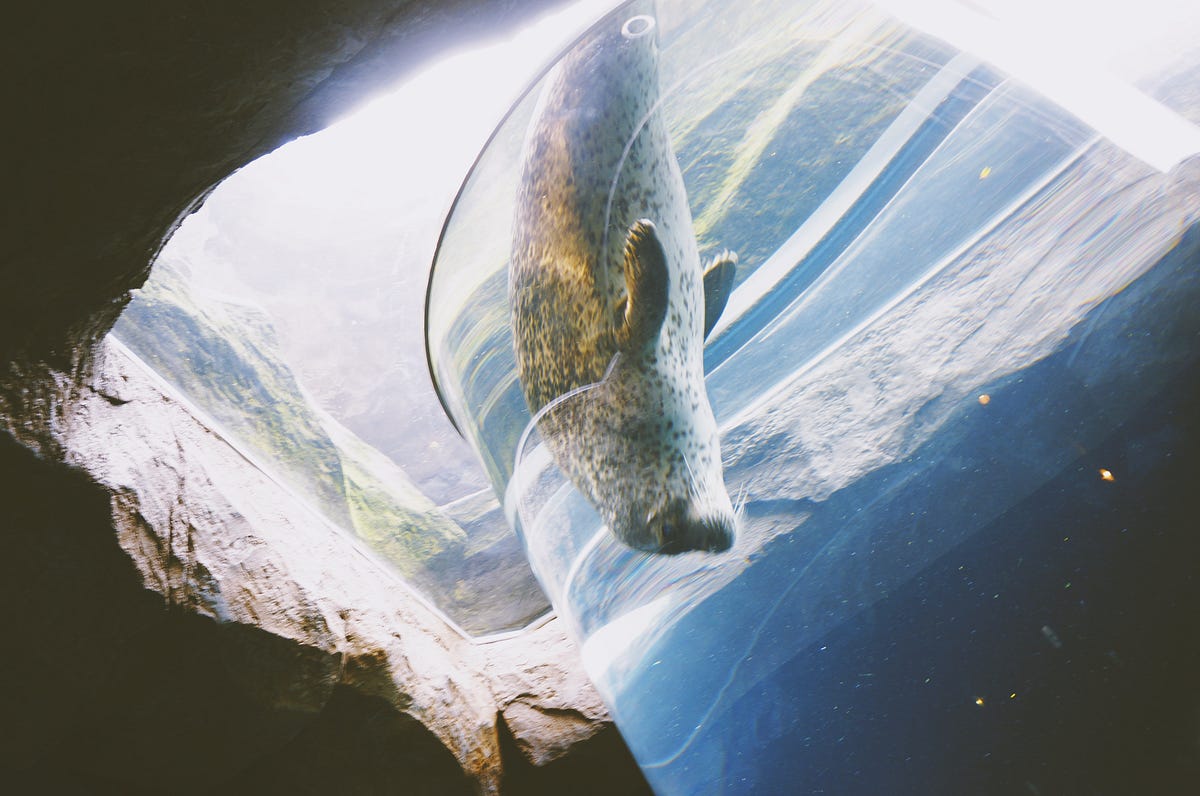 Python｜build Farm Stack App｜3 Dockerize Fastapi By Y Chenstraveler Medium