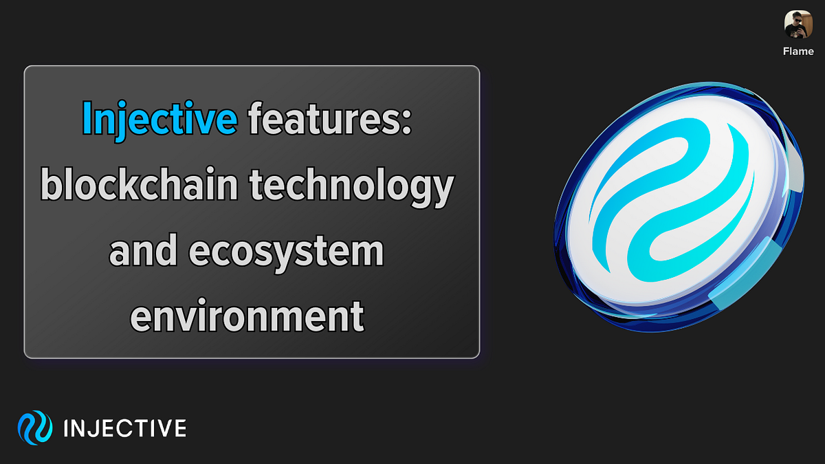 Injective features: blockchain technology and ecosystem environment ...