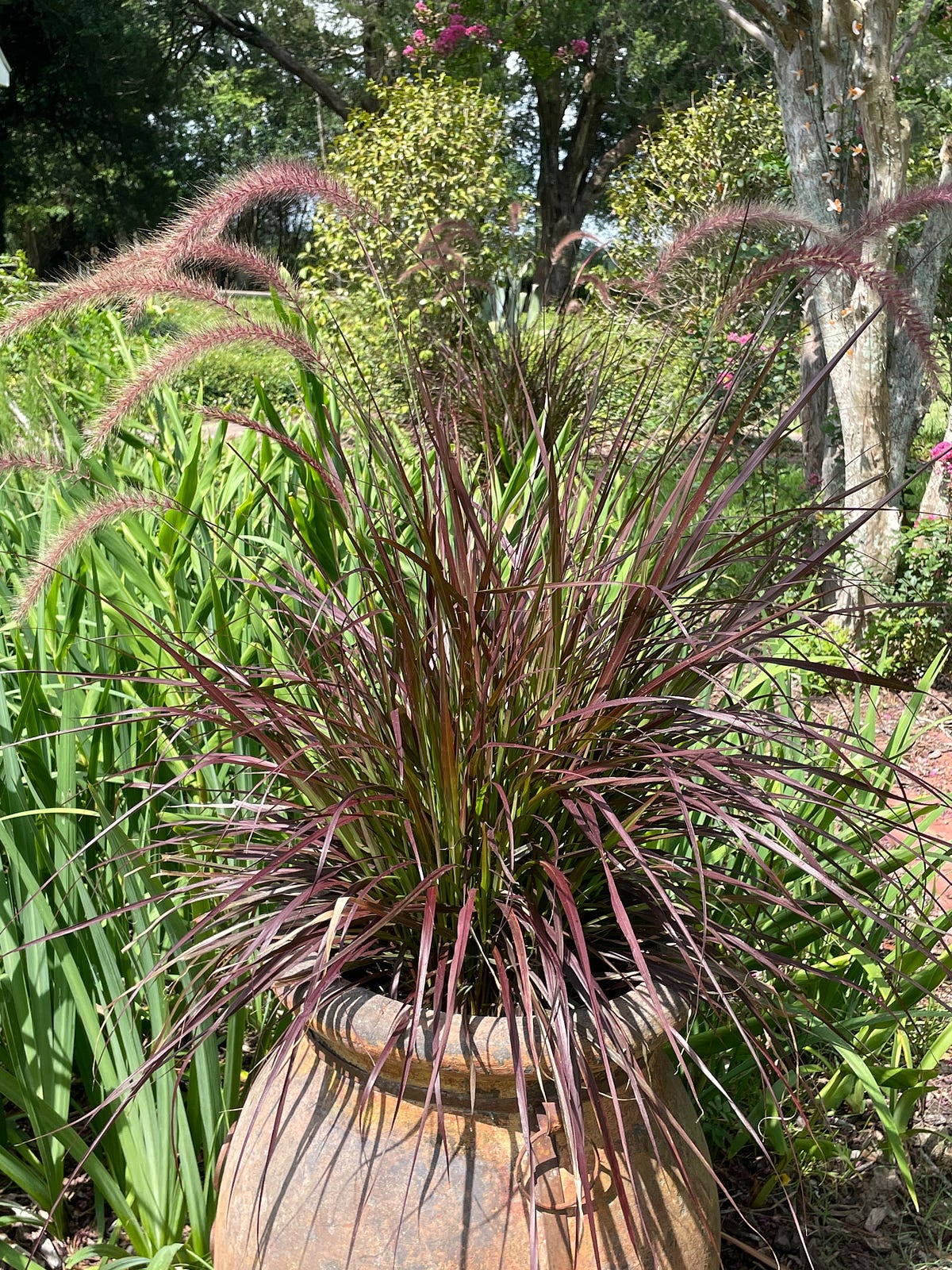 Alchemy. Poems From The Porch | by Ani Vidrine | A Love-Centered Life ...