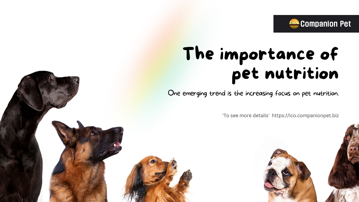 The importance of pet nutrition - Companion Pet World - Medium