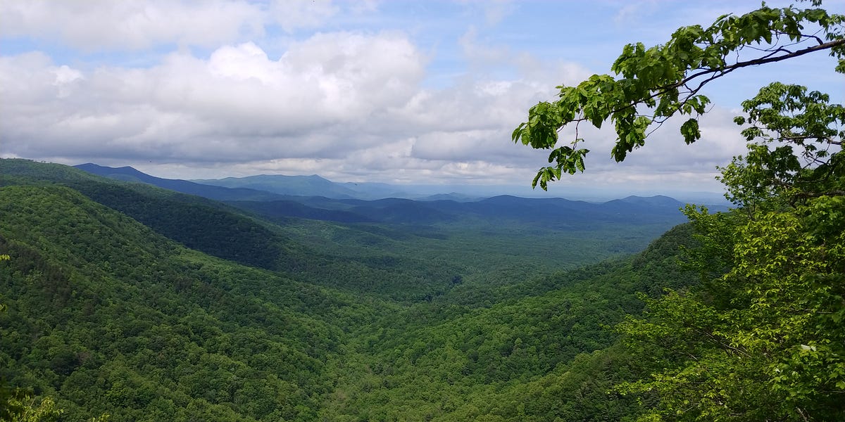 Benefits of Embracing Your Solitude | by J.M. Troppello | Mustard Seed ...