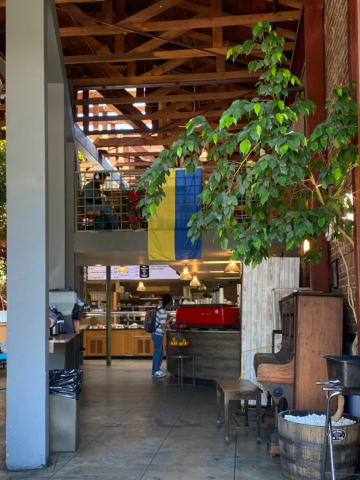 Cafes of Berkeley. By Daelynn Castillo Delgado, Sousiva… | by Anita Liu ...