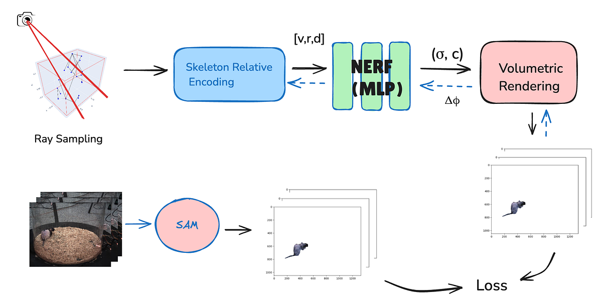 KeypointNeRF: A New Approach to 3D Motion Capture Using Neural Radiance ...