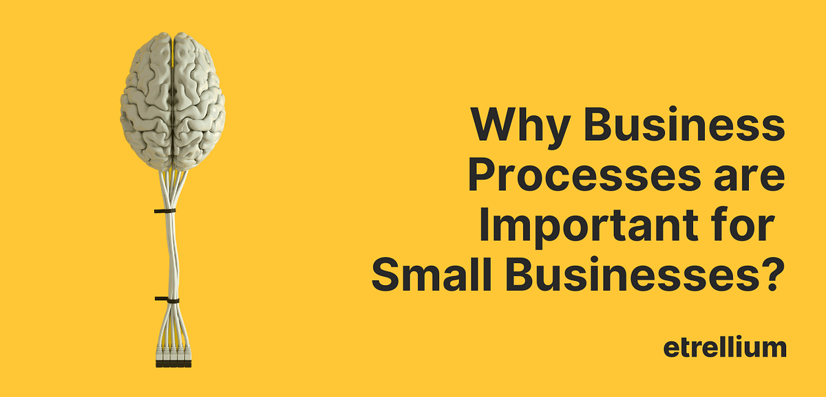 Why Business Processes are Important for Small Businesses? | by Ivan ...