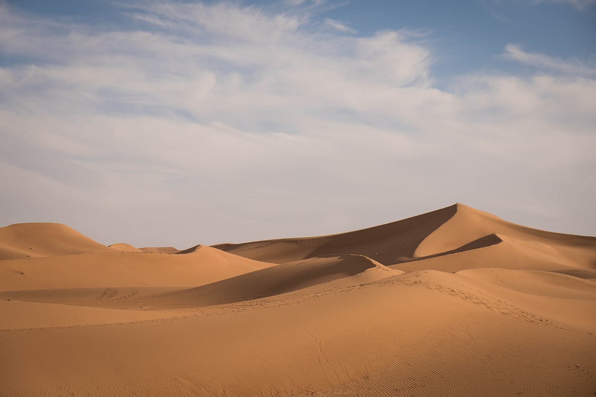 Extreme Environments: farming in the Sahara Desert | by A Renaissance ...