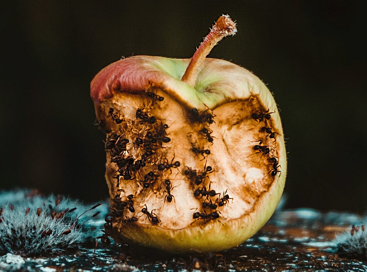 Traits Unworthy People Eating Your Life | Writers’ Blokke