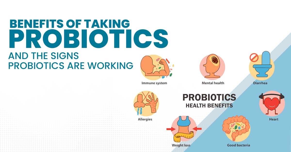 Benefits Of Taking Probiotics And The Signs Probiotics Are Working | by ...