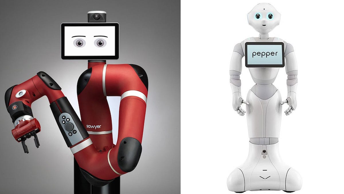Functional vs. biological approach in designing social robots | by ...