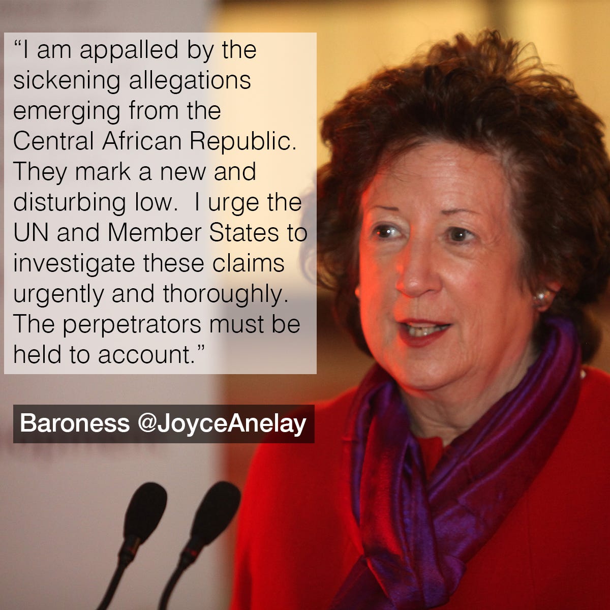 UK Minister Baroness Anelay responds to reports of abuses by UN ...