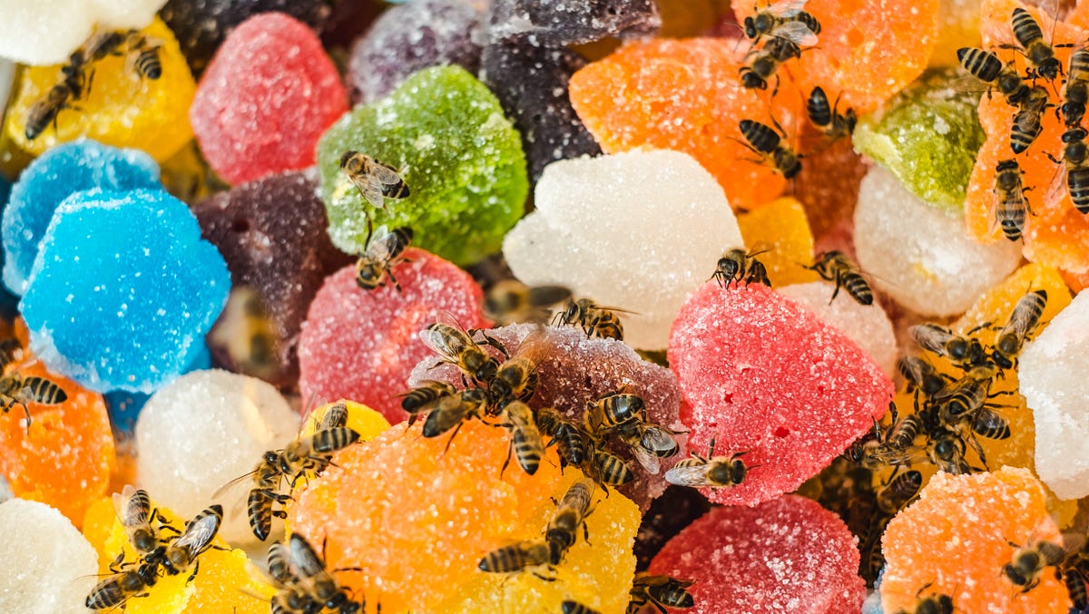 Exploring Food Fails: The Unseen Dangers of Overindulgence | by ...