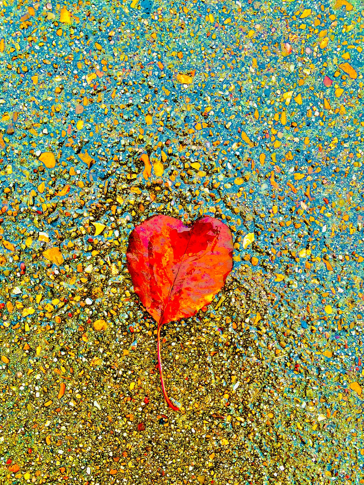 Tread Slow… - iPoetry - Medium
