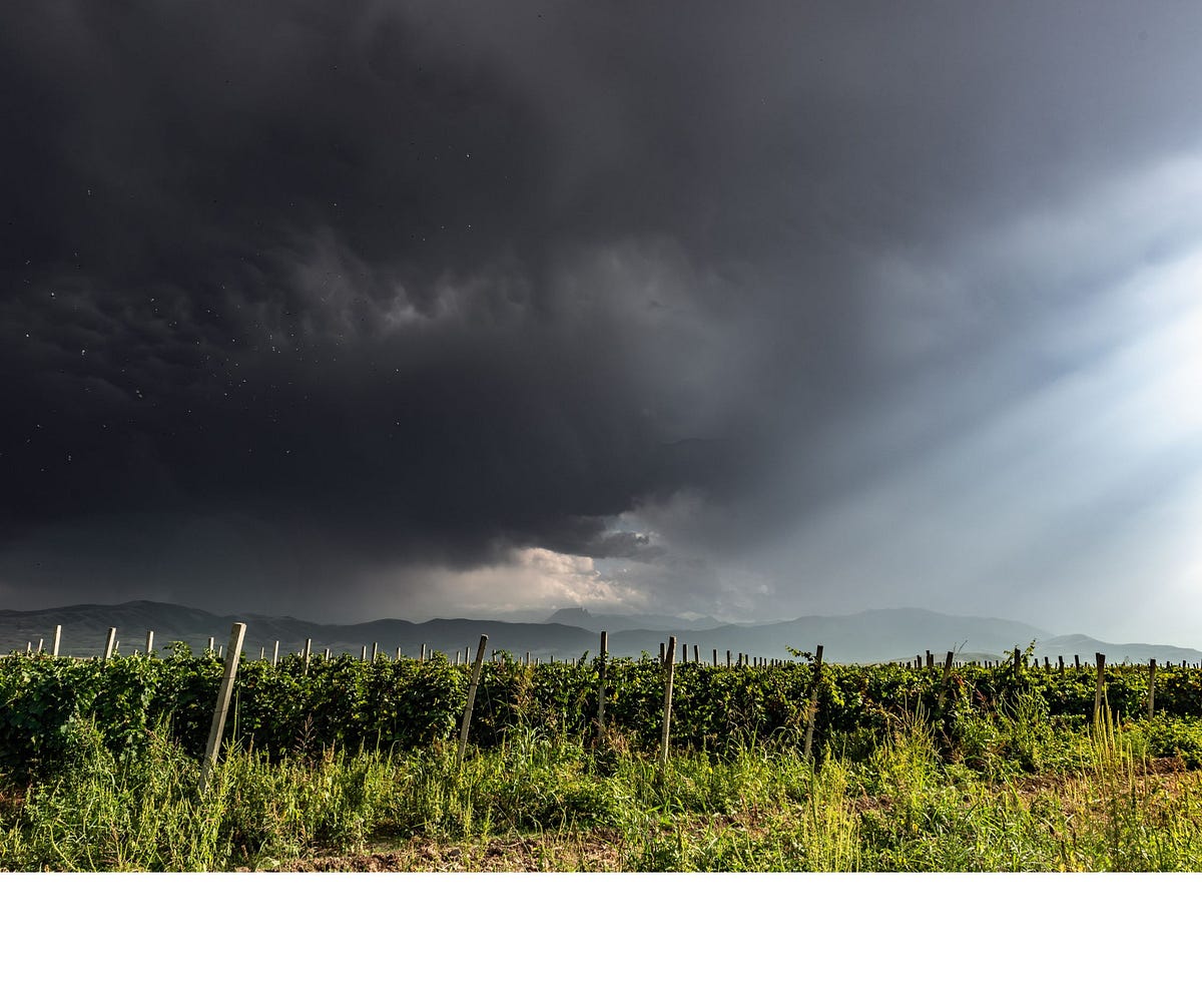 Faith: Surviving the Storms. Hebrews 11: 1 and 39–40 | by Lisa Schmidt ...