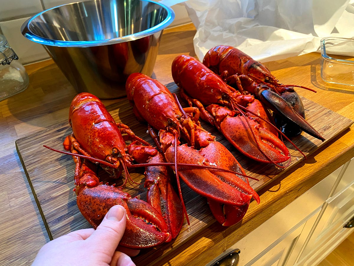 Hummersoppa. Hummersoppa är en sån där sak jag ätit… | by Jonas Lundin ...