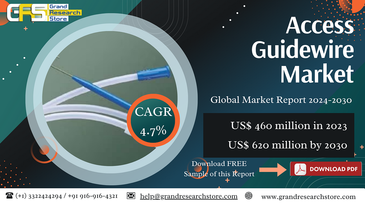 Access Guidewire Market Global Outlook And Forecast 2024 2030 Naikdipti Medium